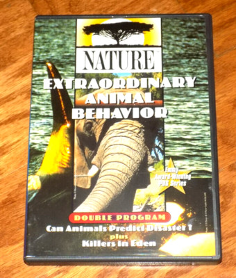 Nature Extraordinary Animal Behavior Disaster Prediction Killer Whales ...