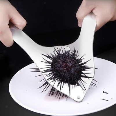 Sea Urchin Cutter Opener Sheller Scissors Steel Sea Urchin Opener for ...