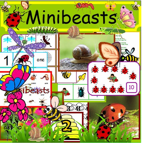 MINI BEASTS Early years teaching PRINTABLE RESOURCES ON CD ROM EYFS ...