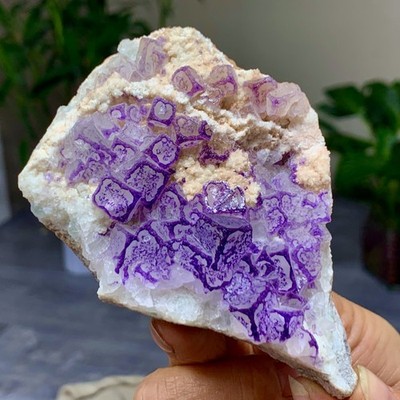 212G Natural Purple "QR Code"Fluorite Cluster Crystal Mineral Specimen ...