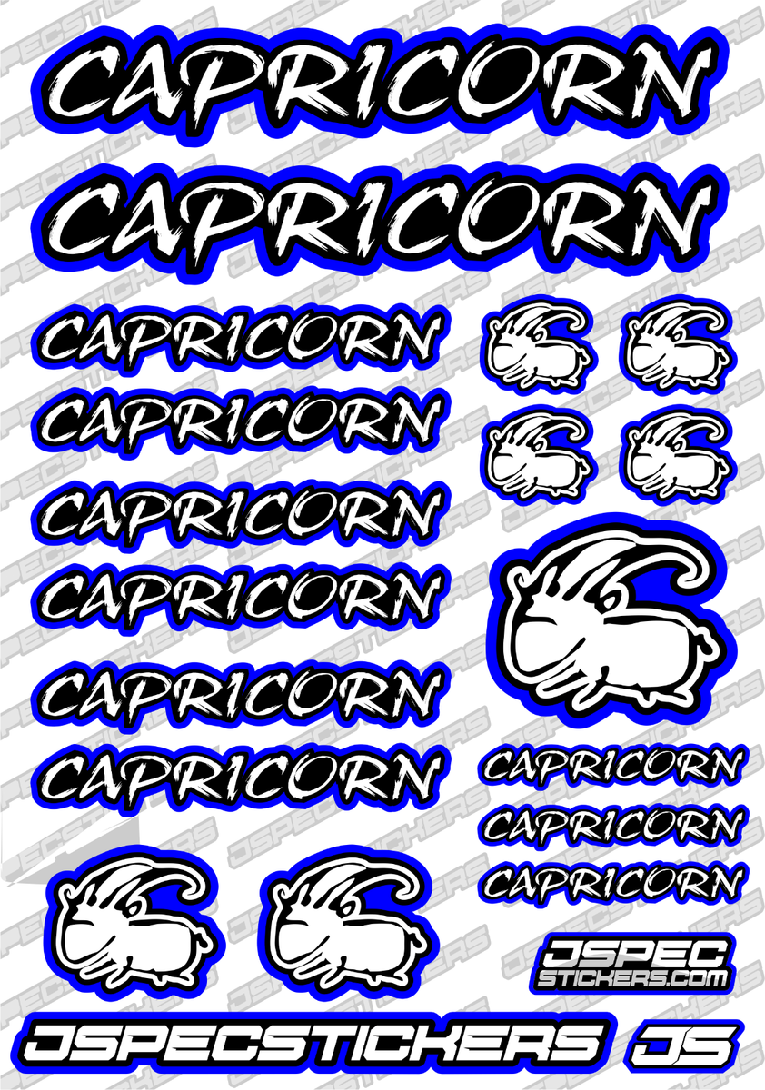 Capricorn Rc Logo LIKE NEW * Capricorn Lab GT2 1/8 GP Nitro GT R/C