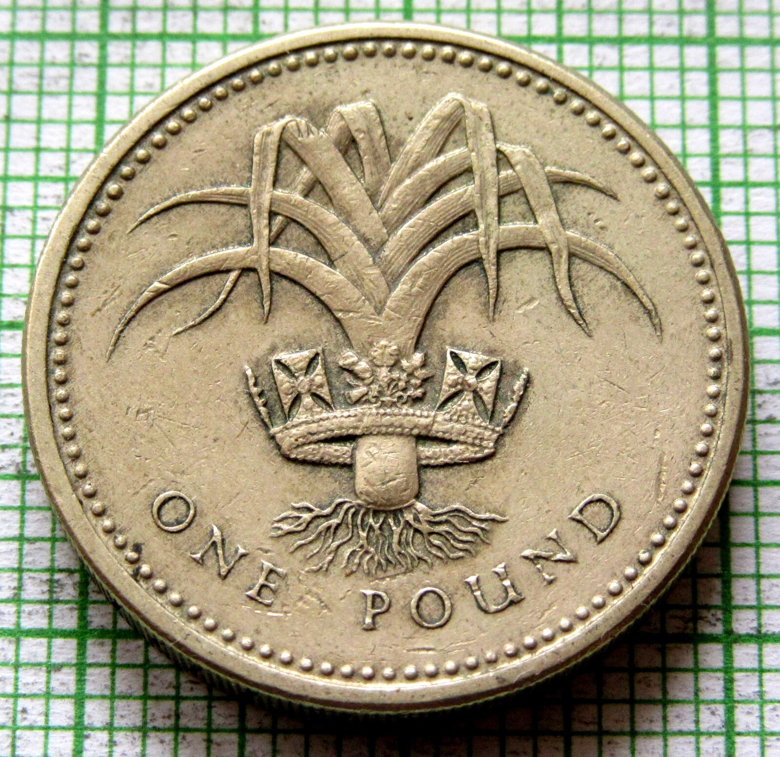 GREAT BRITAIN Elizabeth II 1985 1 POUND Welsh Leek, Royal Diadem series ...