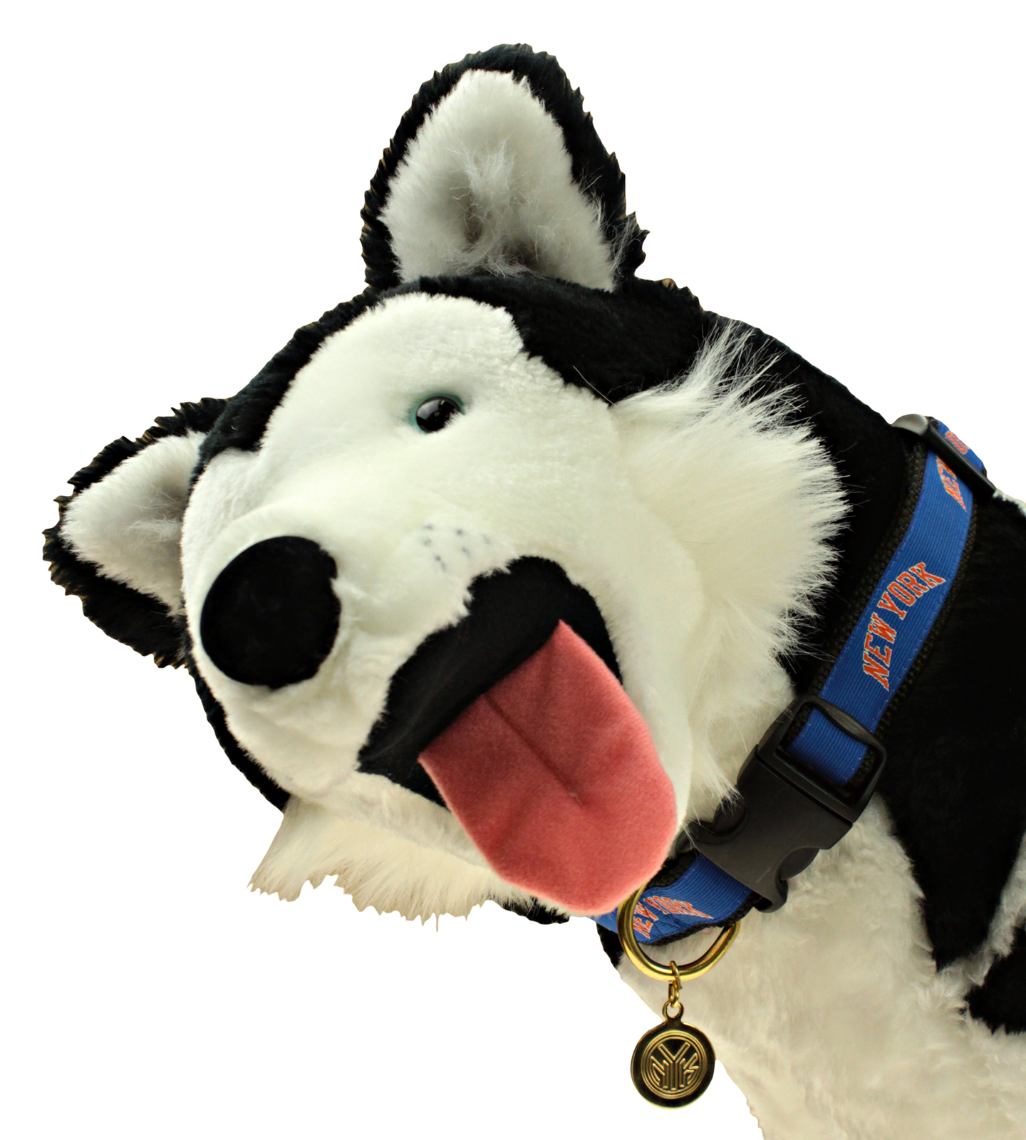 Sporty K9 NBA New York Knicks Ribbon Dog Collar | eBay
