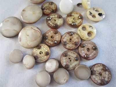 Victorian - Victorian Bone