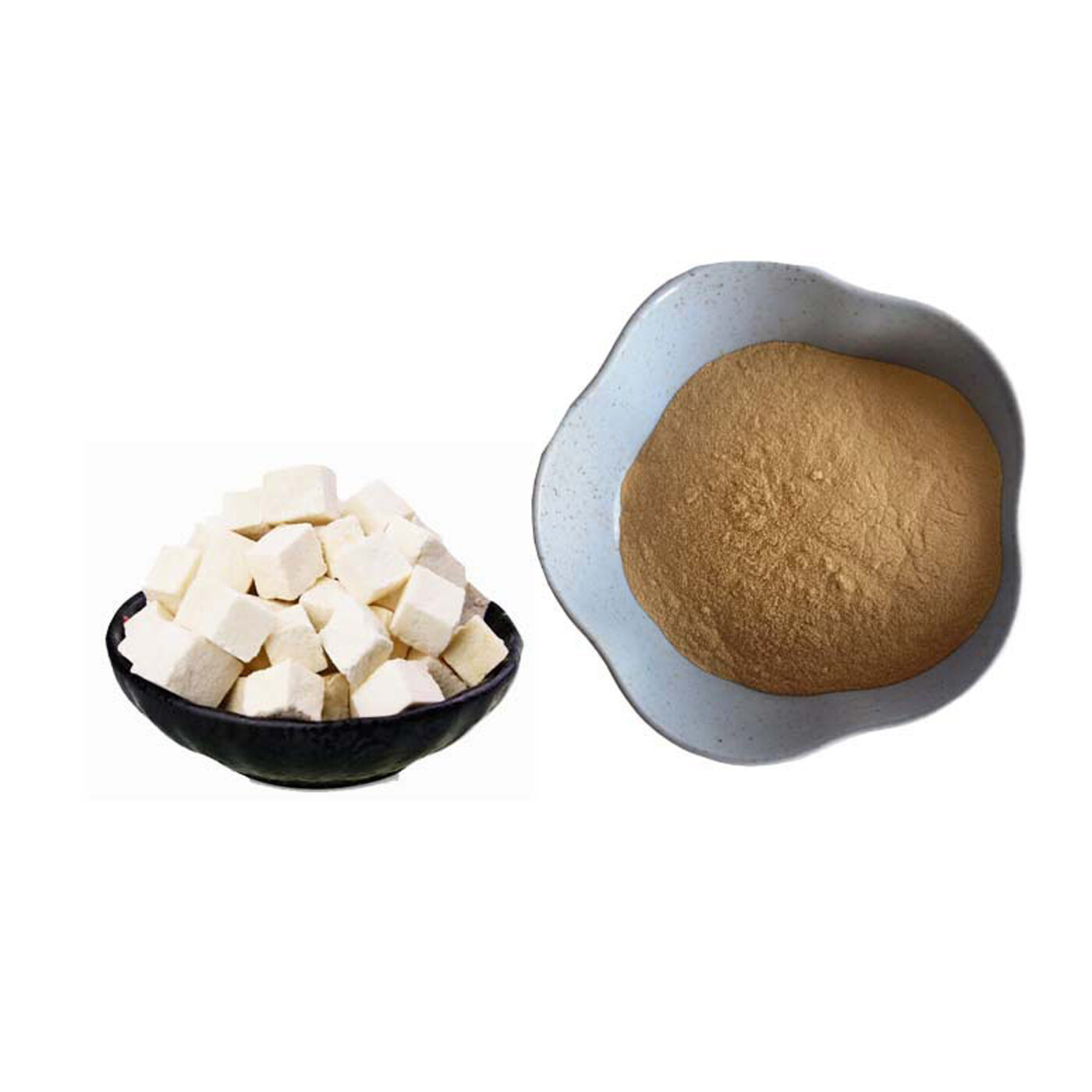 Poria Cocos Extract 10:1 Extract Powder 200g/500g | eBay