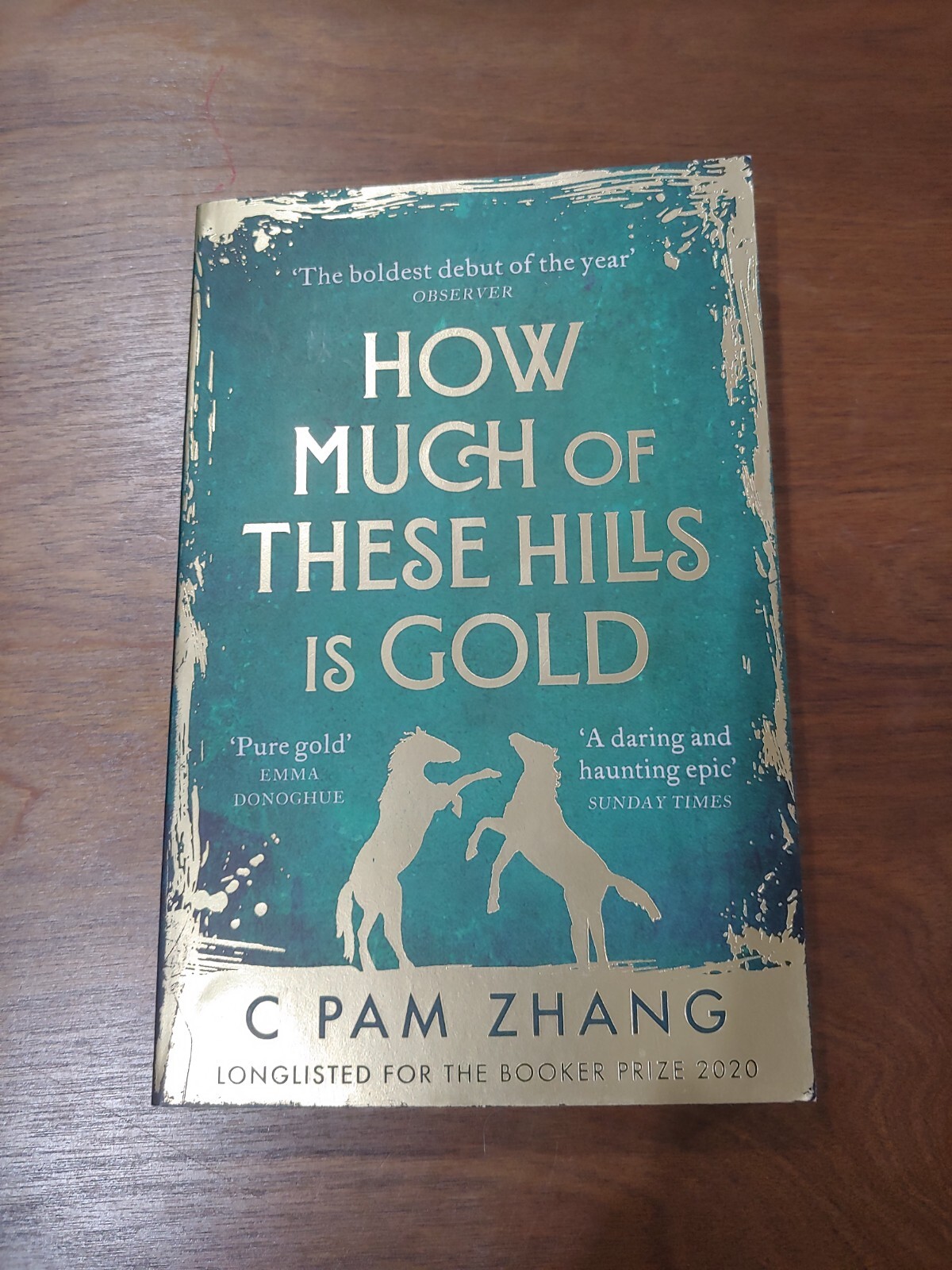C Pam Zhang - How Much of These Hills is Gold (Used Book, Fiction, Like ...