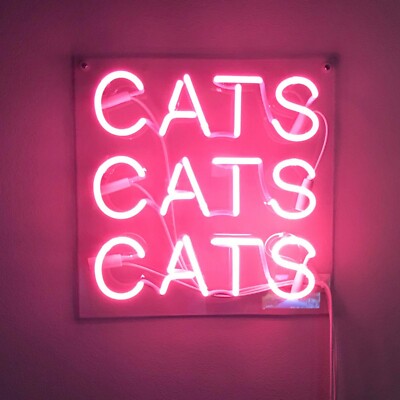 Cats Cats Cats Neon Sign Light Beer Bar Pub Wall Hanging Handcraft Gift ...