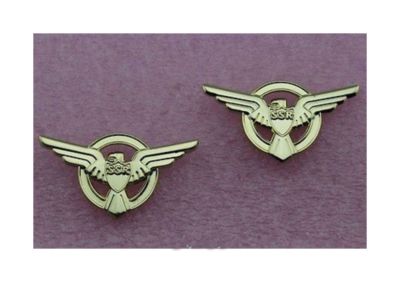 Marvel Comics AGENT CARTER Eagle SSR Logo Costume Pin Set 1 1/4" Wide ...
