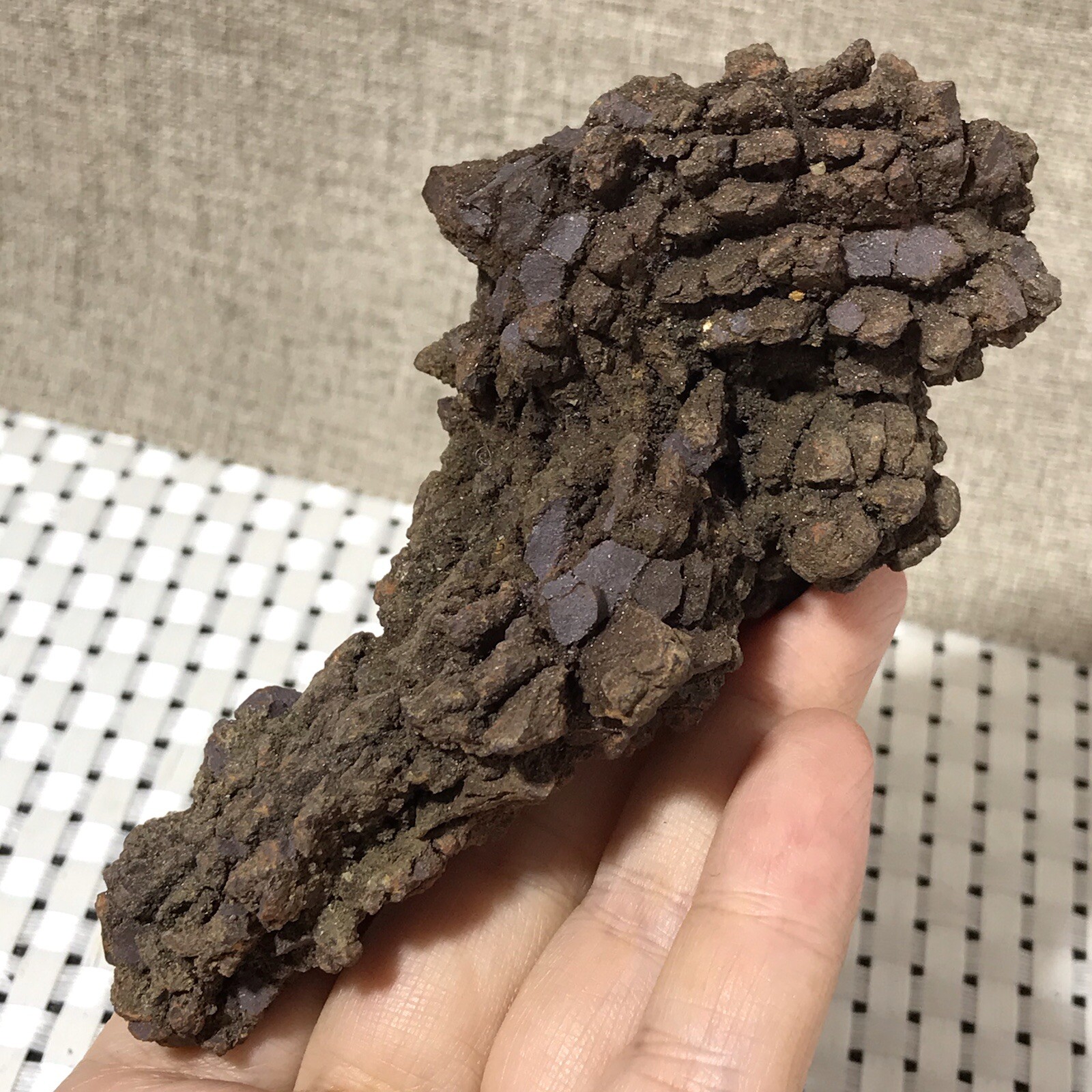 207g Top! Best Rare dinosaur dung coprolite crystal Poop K02L07 | eBay