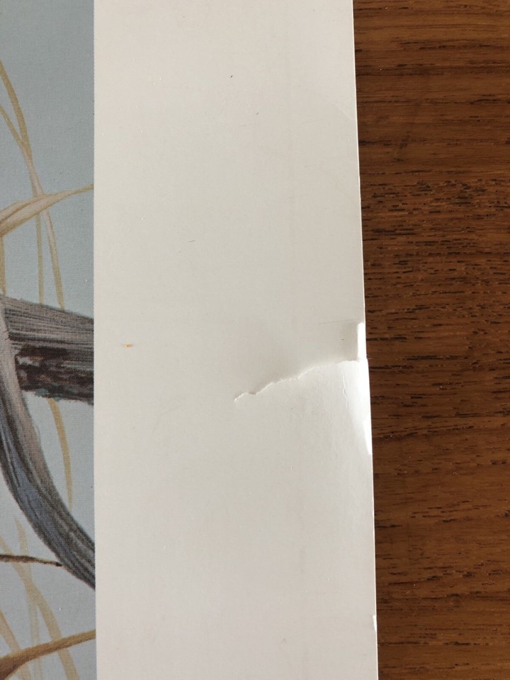 Green-Wing Squadron Poster Art Print Bob Binks Ducks Unlimited #’d ...