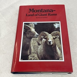 PunxsyPicker | eBay Stores