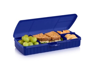 TUPPERWARE Blue Lunch N Things Divided Container Snack SANDWICH KEEPER ...