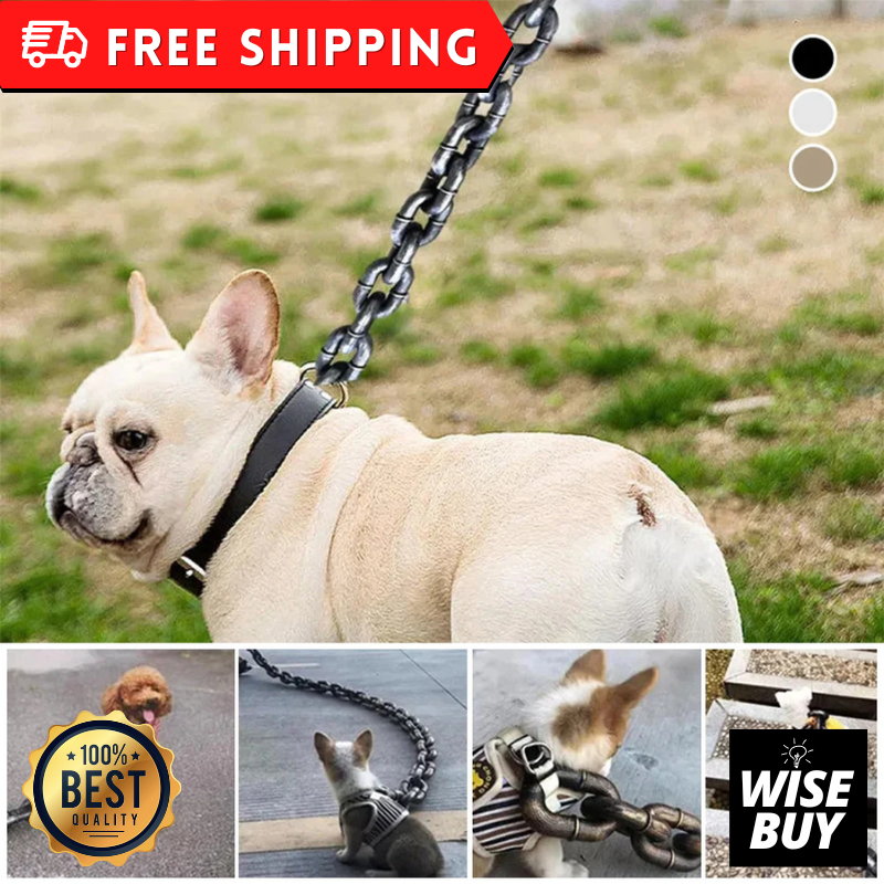 Funny Dog Chain Leash | eBay