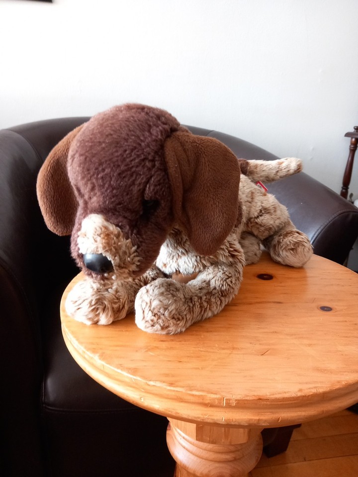 2013 Douglas Cuddle Toys Plush German Pointer #2037 Plush Dog Stuffed ...