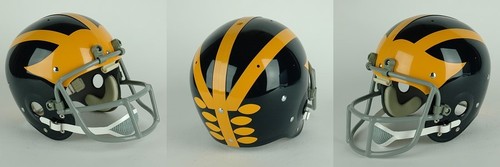 MICHIGAN WOLVERINES 1969-1974 Vintage Riddell TK Suspension Football ...