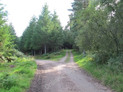 Photo 6x4 Track Junction in Darnaway Forest Conicavel c2011 | eBay UK