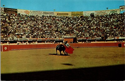 Postcard Chihuahua Mexico Finito en un buen lance de capote Unposted ...