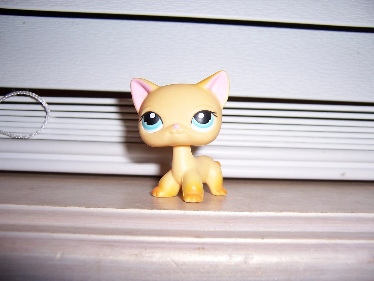 Littlest Pet Shop Cat 339