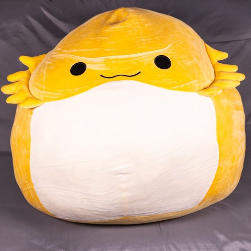 Squishmallows 24” Rodry The Bearded Dragon 196566145740 | eBay
