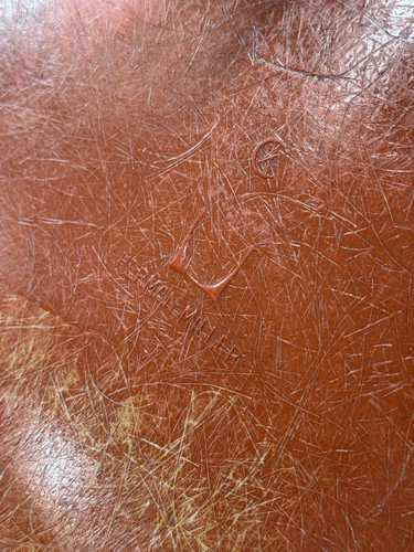 Vintage Mid Century Herman Miller Eames Fiberglass Rocking Shell Chair ...