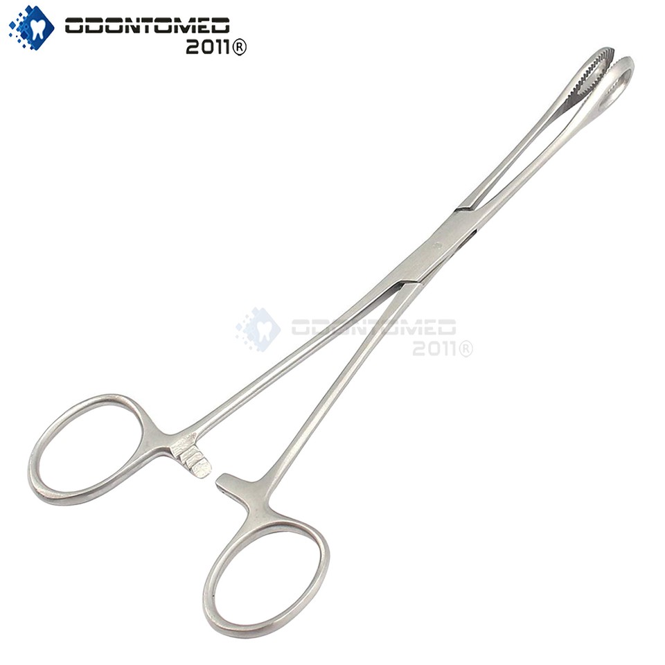 10 NEW BODY PIERCING Forceps Kit Hemostat SPONGE CLAMP 10" Straight | eBay