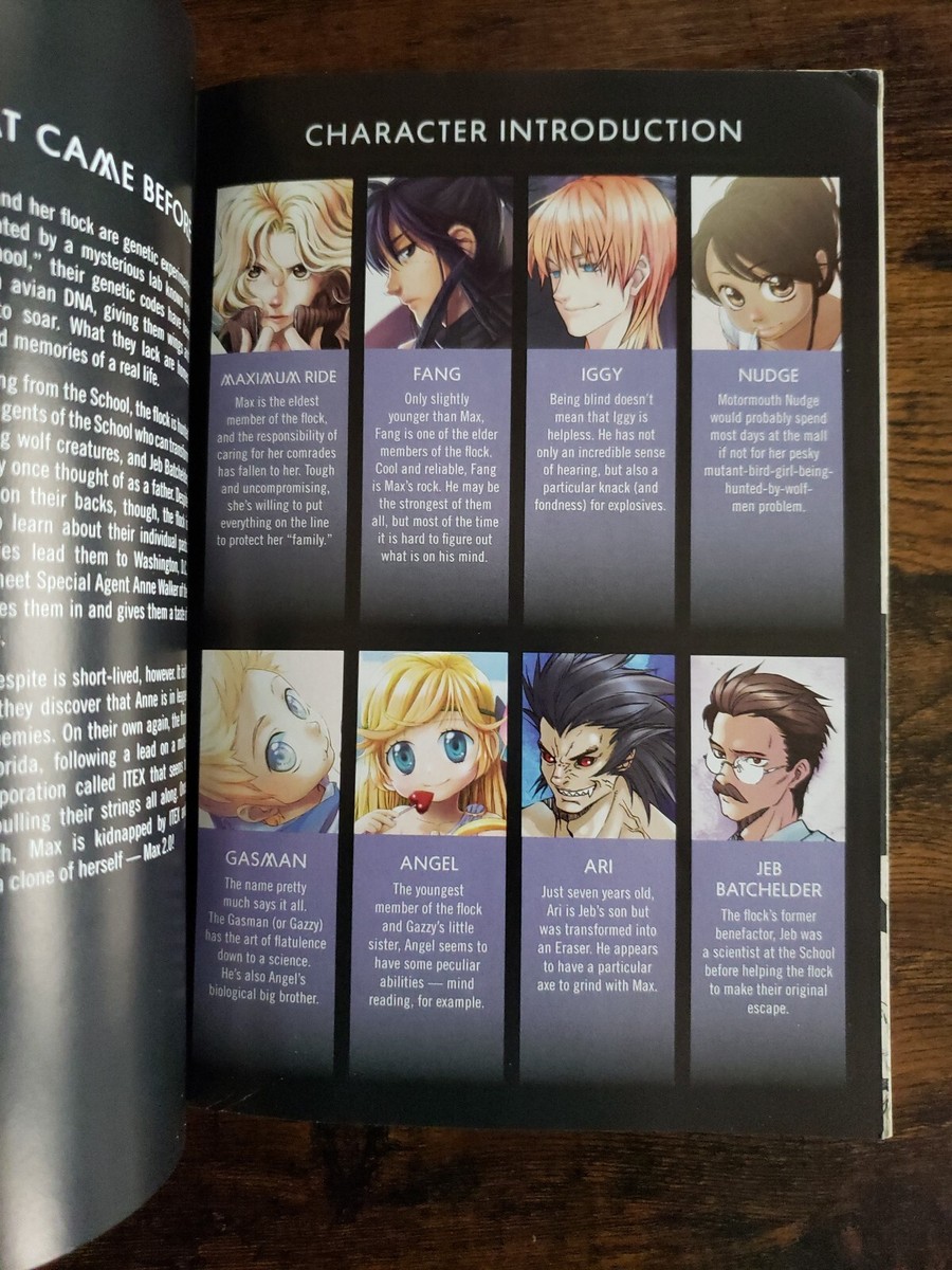 Maximum Ride The Flock Manga