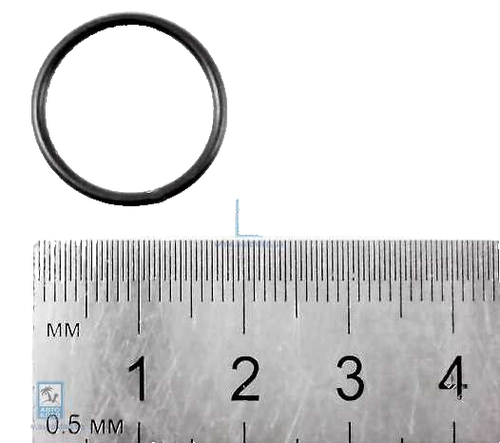 1x Genuine VW O-Ring - WHT000884 | eBay Australia