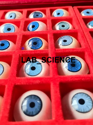 Artificial Blue Eye shades Vintage Human Prosthetic Eye 50 PCS With Box ...