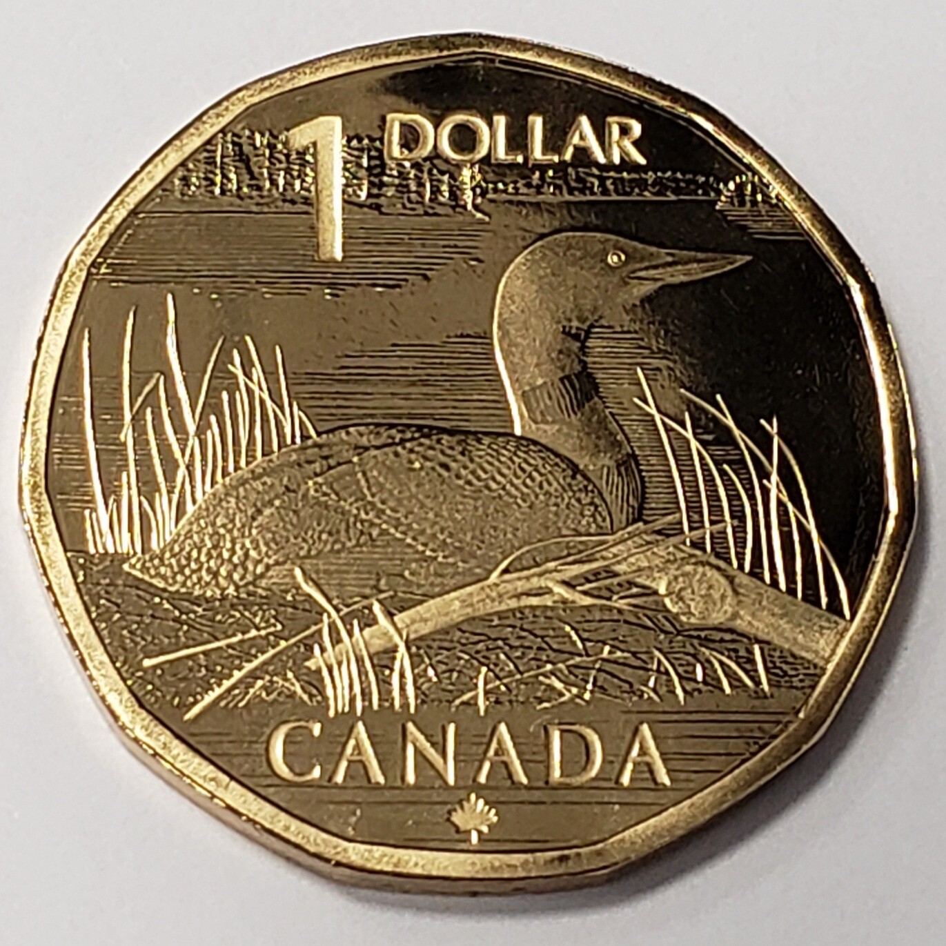 2004 Canada $1 The Elusive Loon Proof Coin & Stamps Set w/ Box & COA ...