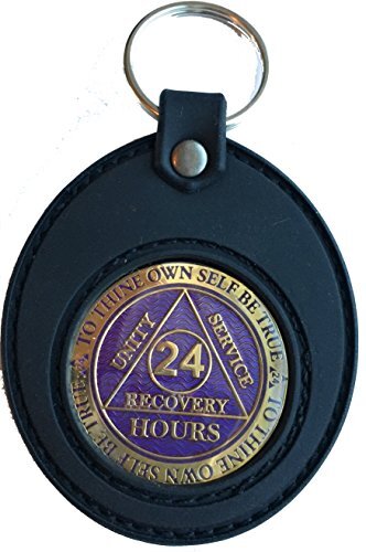 Universal AA Medallion or Coin Holder Keychain Black Soft Silicone ...