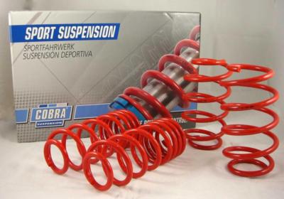 CobraSport Lowering Springs Ford Fiesta Mk6 ST150 35mm front and rear ...