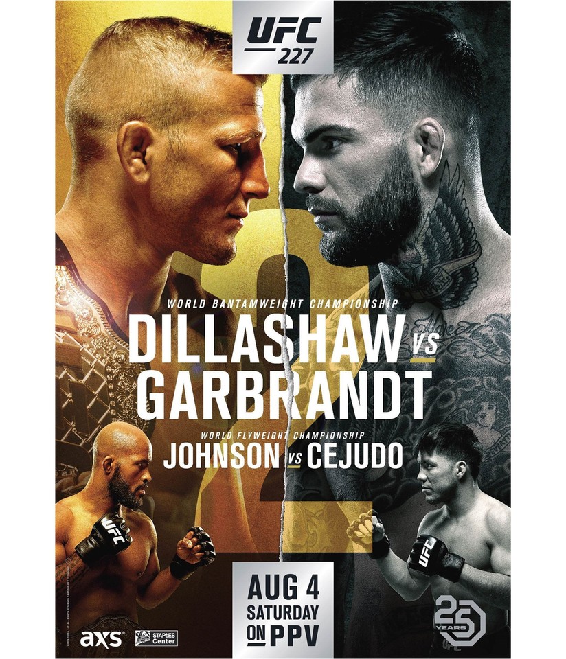 UFC Unisex 227 Aug 4th Saturday Official Poster, Multicoloured, One ...