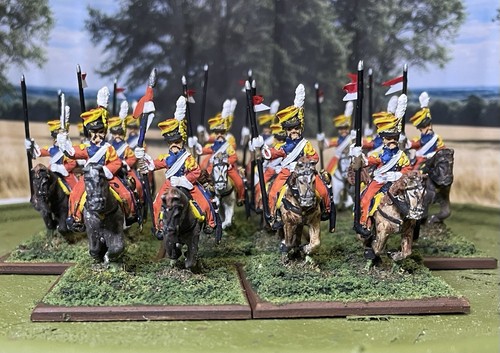 25mm Painted Napoleonic French Imperial Guard "Red/Dutch" Lancers | eBay