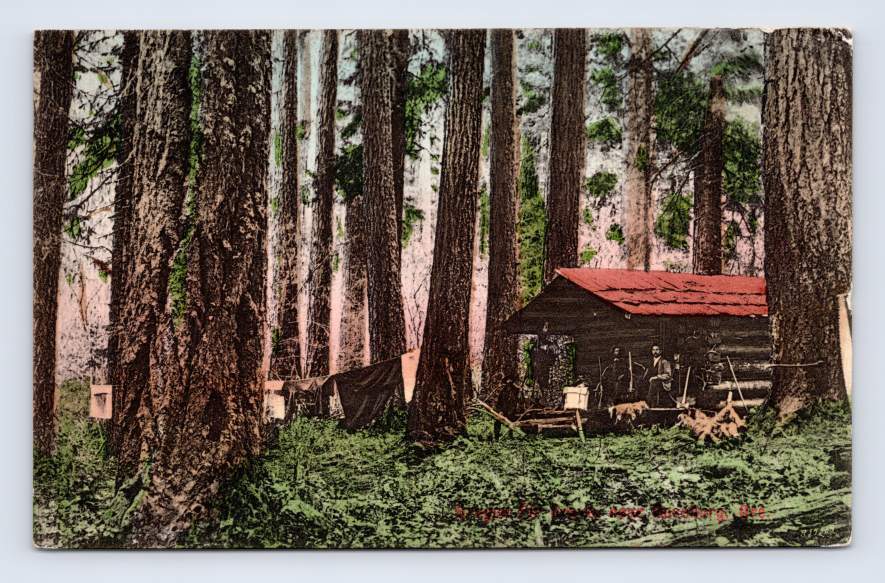 Hunter or Lumberjack Log Cabin in Fir Grove ~ Roseburg Oregon Hand ...