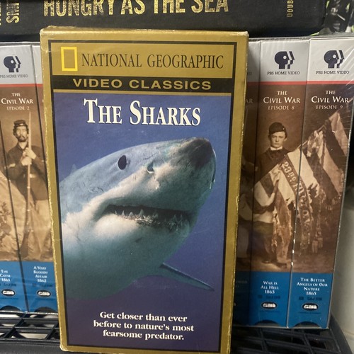 National Geographic Video - The Sharks (VHS) for sale online | eBay