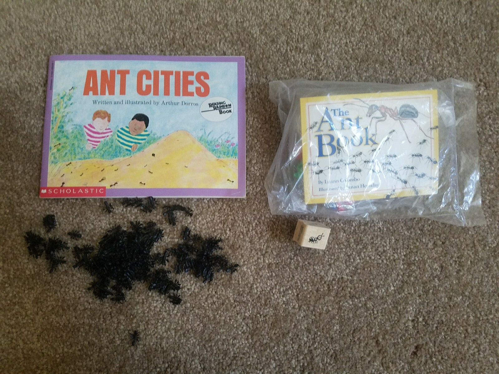 BUNDLE The Ant Book Luann Colombo, Ant Cities Arthur Dorros Scholastic ...