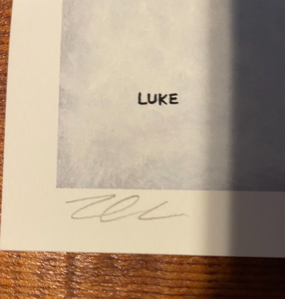 Luke Chueh HeadSpace Bear Darth Vader Print Limited /200 Star Wars Head ...