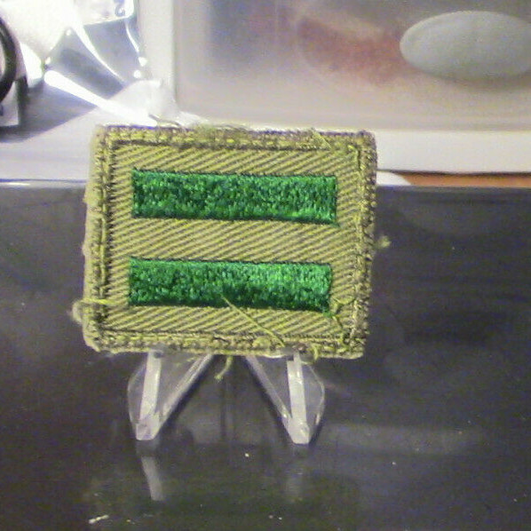 OFFICIAL BSA: Vintage Patrol Leader Position Patch | eBay