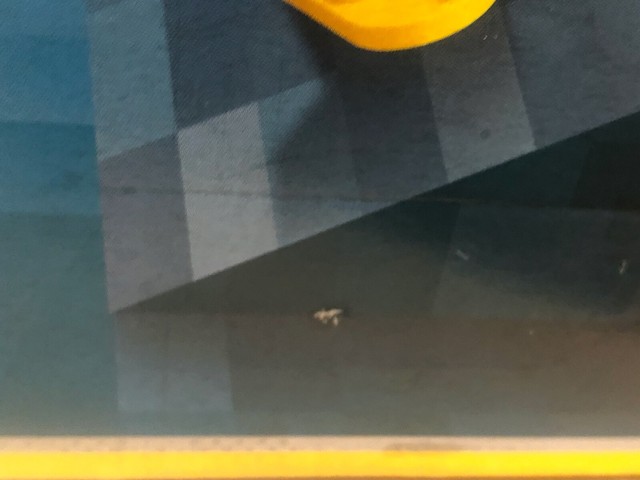 LEGO Creator Mini Robots (4097) for sale online | eBay