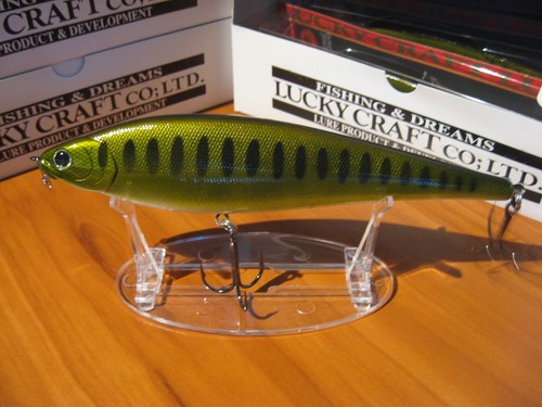 Lucky Craft 8" Slow Sinking Fishing Lure 2.5 Oz EPG LL Pointer 200 Pearl Goujon | eBay