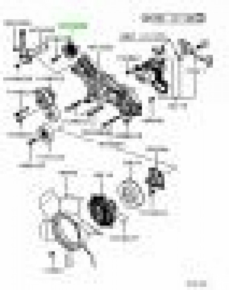 MITSUBISHI GENUINE OEM PULLEY, TENSIONING MONTERO(MMNA)2000/02-2006/08 ...