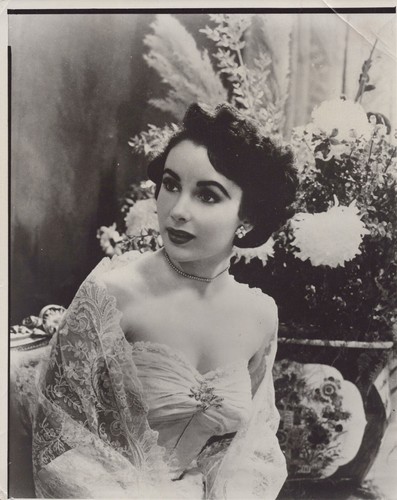 Elizabeth Taylor (1950s) Vintage Hollywood Beauty Stunning Portrait ...