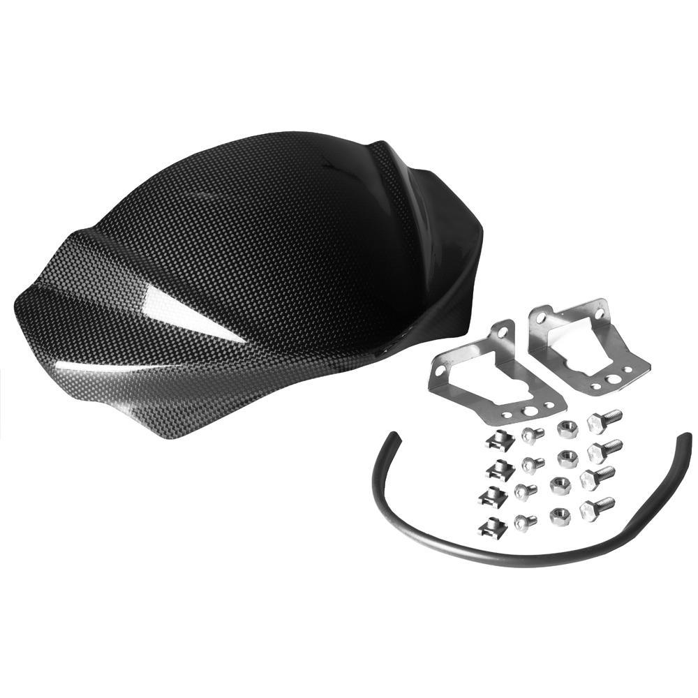 Windshield Shined Carbon Fiber LEA COMPONENTS Ducati 796 Monster/ABS ...