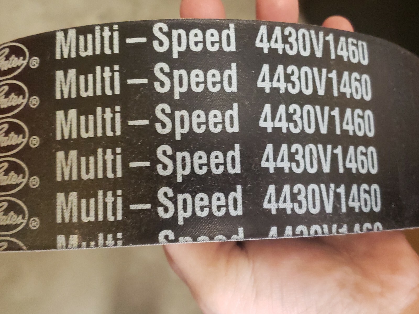 Gates Multi-Speed Belt 4430V1460 for sale online | eBay