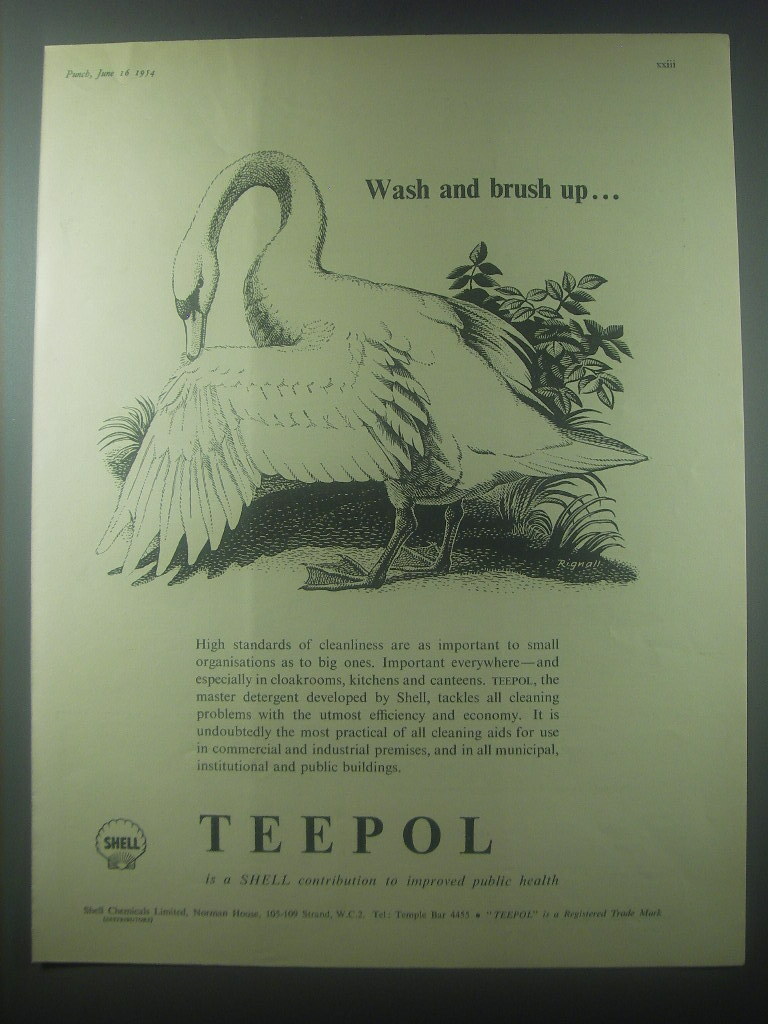 1954 Shell Teepol Ad - Wash and brush up | eBay