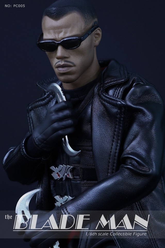 PC005 1/6 Blade Man Warrior Daywalker 12" Collectible Action Figure ...