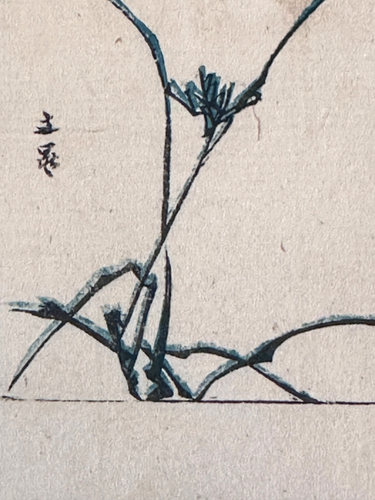 Engraving Print Japan Edo Crane Wave Dragonfly Japonisme Bun’ichi Tani Buncho | eBay