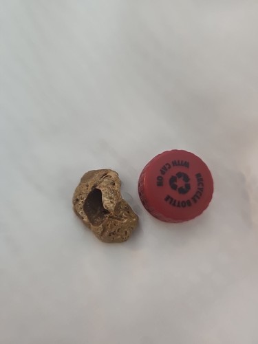 Hag Stone, Fairy Stone, Holey Stone, Naturally Formed | eBay