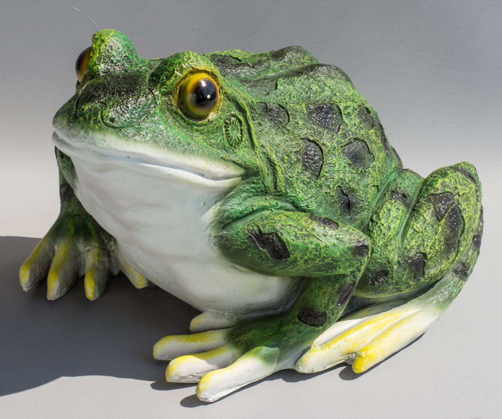 Coin Bank Frog Toad Figurine Money Piggy Box Adult Statue Feng Shui ...