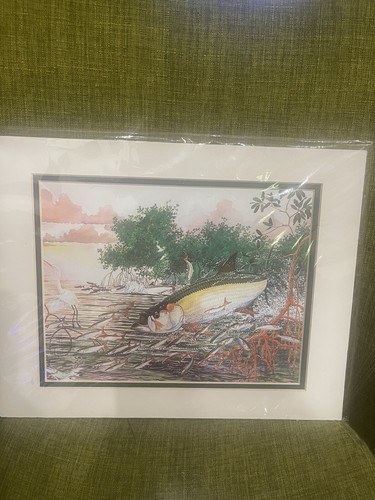 Guy Harvey 2003 Art Print Tarpon Cay Mullet Water Flats NEW 11 X 14 | eBay